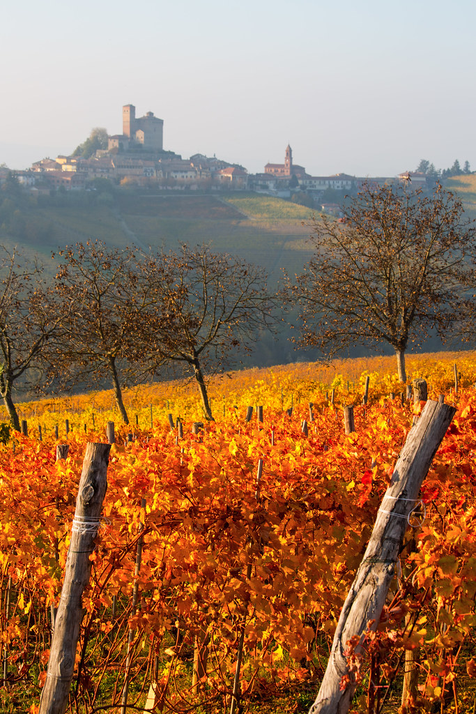Where to see gorgeous Fall Foliage in Italy | Dalle Colline Alle Montagne